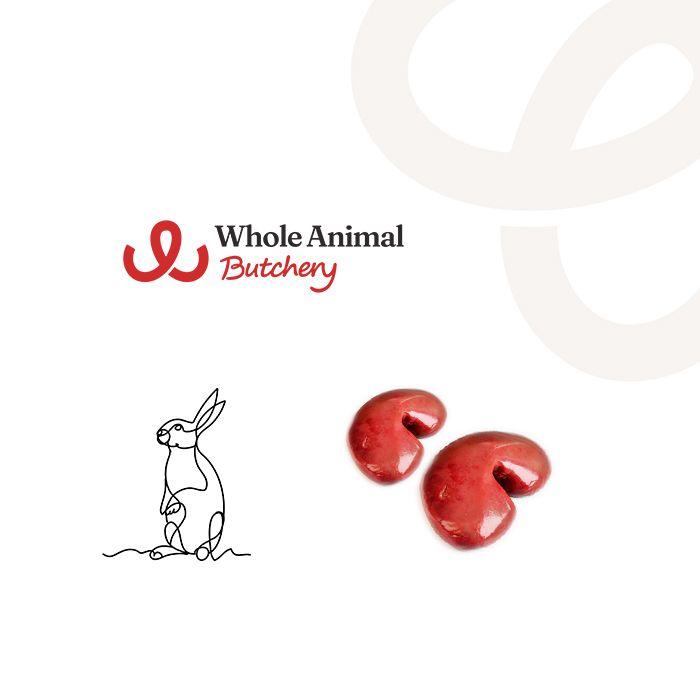 Rabbit Kidney